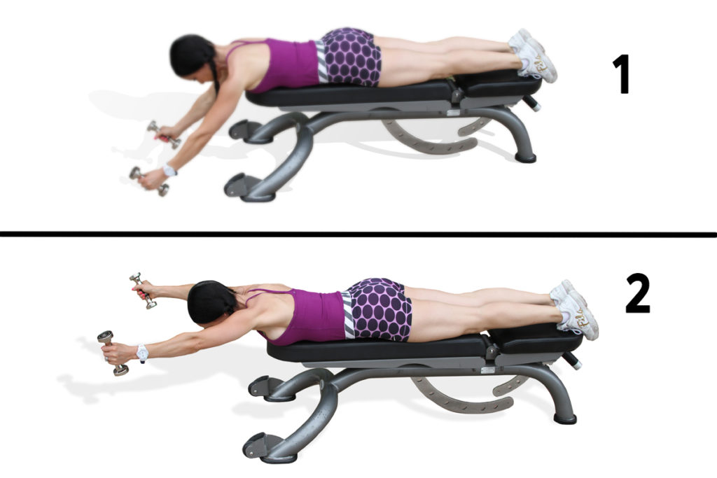 Shoulder the Load: Mechanics and Programming for Shoulders - IDEA ...