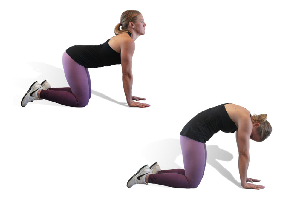 Stretches After Sitting All Day Idea Health And Fitness Association