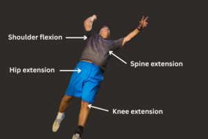 Pickleball: Preventing Injuries and Enhancing Performance - IDEA Health ...