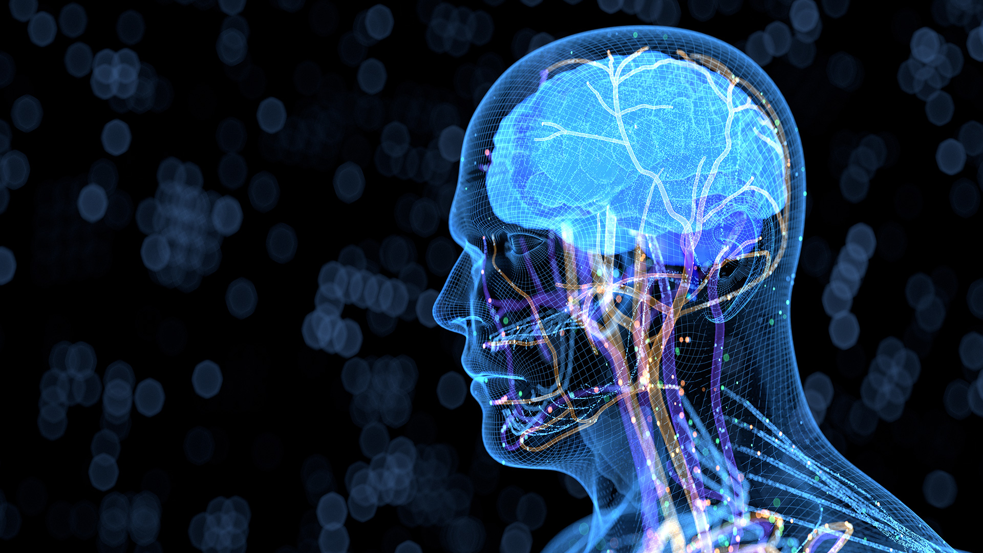 The Dimensions of Wellness: A 360° View of Wellness - IDEA Health ...