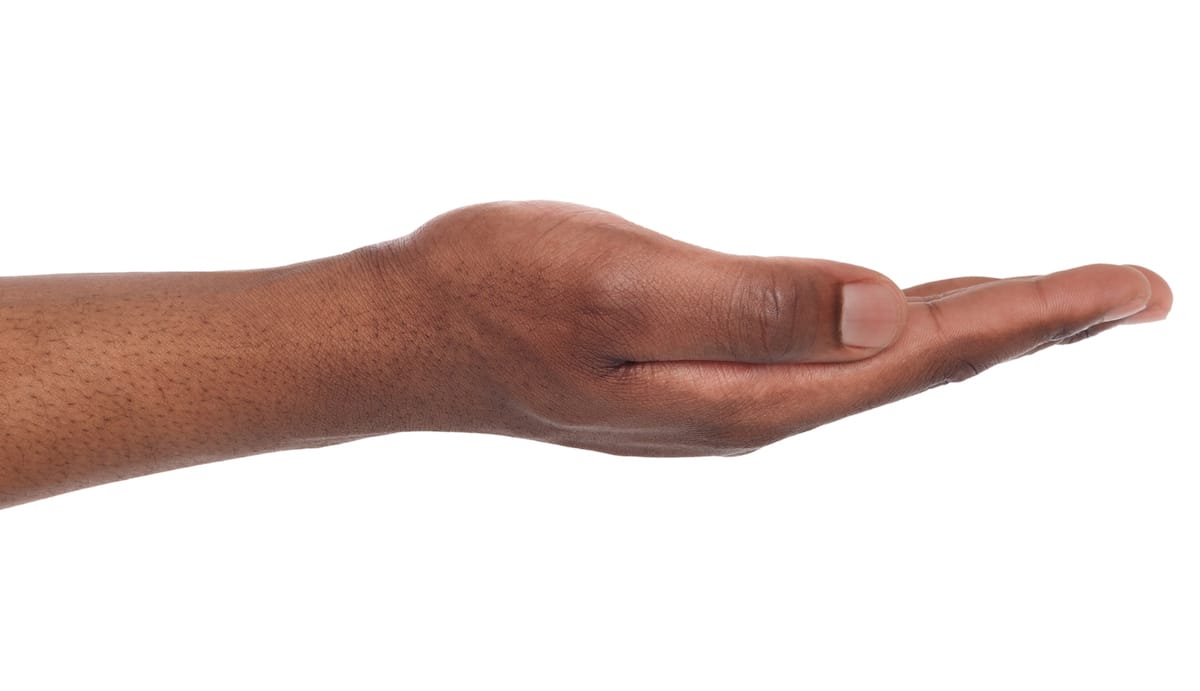 A Handy Way to Count Calories - IDEA Health & Fitness Association