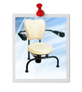 The Hawaii Chair - IDEA Health & Fitness Association